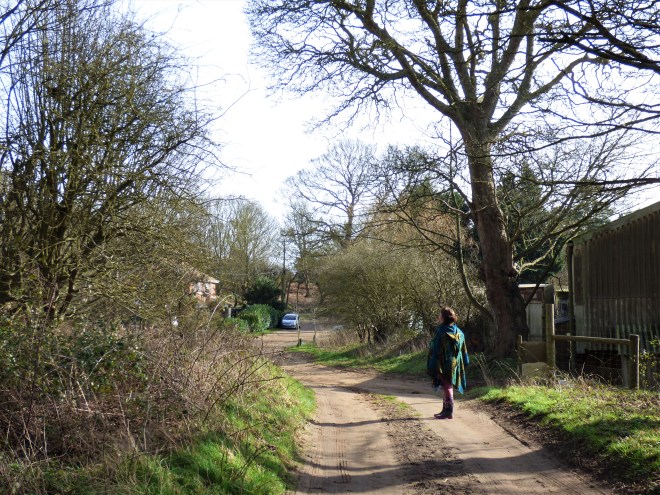 Down the Forest Path – A Journey Through Nature, its Magic and Mystery